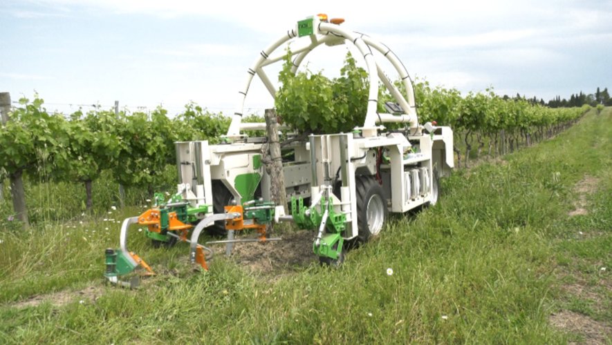 Ted : Le robot agricole autonome de Naïo Technologies qui désherbe les ...